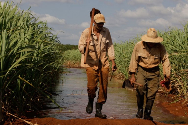 | La tierra es de quien la trabaja